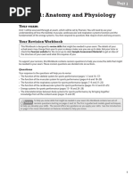 Netball Performance Analysis: Strengths & Weaknesses | PDF | Dieting ...