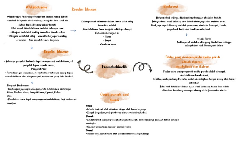 MunaShintyaH-MIND MAP Metabolisme Dan Ekskresi-1 A | PDF