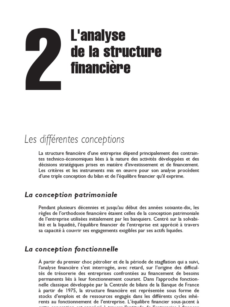 Analyse de La Structure Financière | PDF | Affaires | Droit