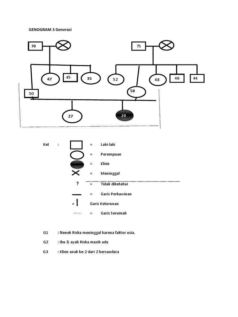 Riska Melia 2720180090 Genogram 3 Generasi | PDF