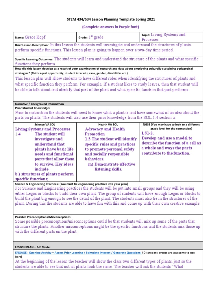 Lesson Plan 2 - Completed | PDF | Lesson Plan | Vocabulary
