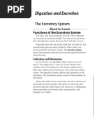 Module Excretory System | PDF | Human Body | Excretion