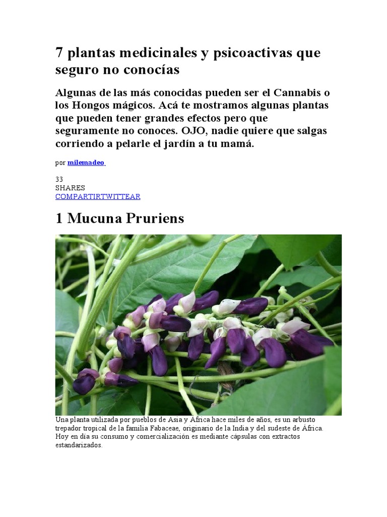 7 Plantas Medicinales y Psicoactivas Que Seguro No Conocías | PDF ...