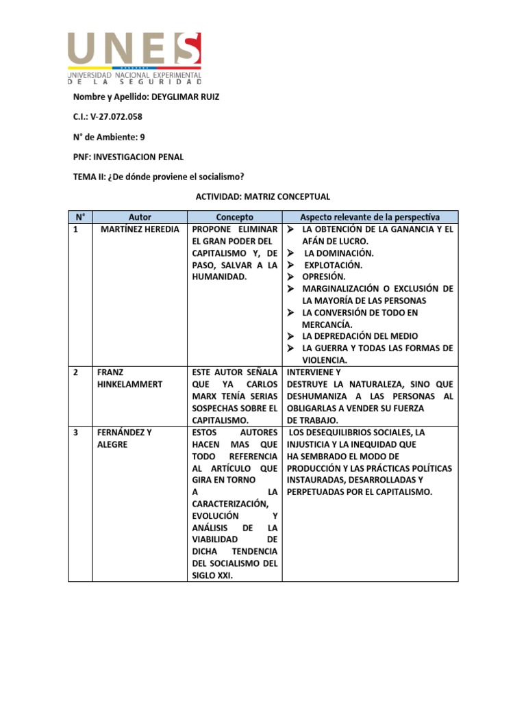 Matriz Conceptual | PDF