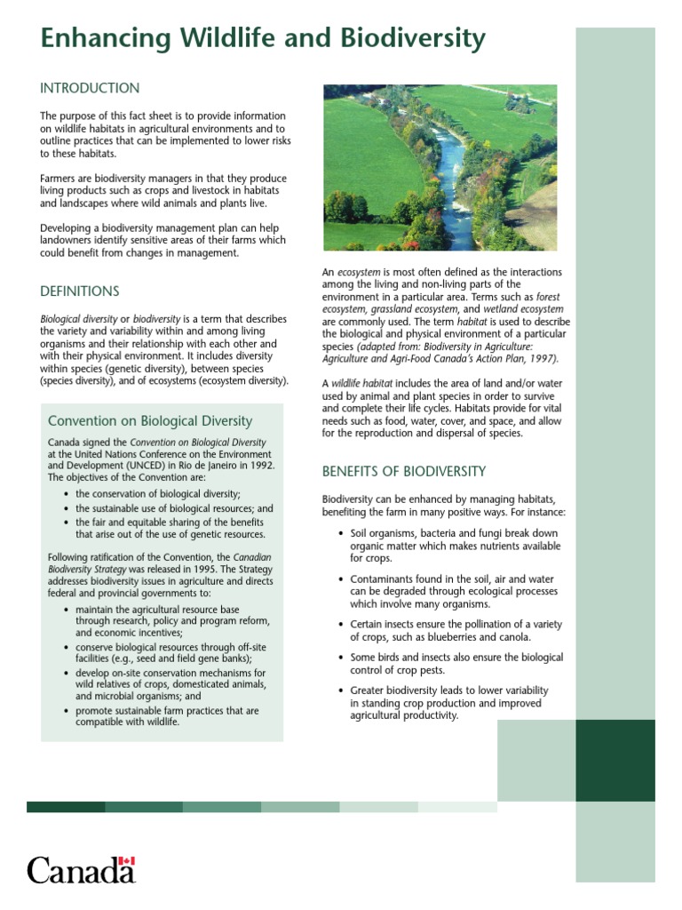 Enhancing Wildlife and Biodiversity | PDF | Riparian Zone | Grazing