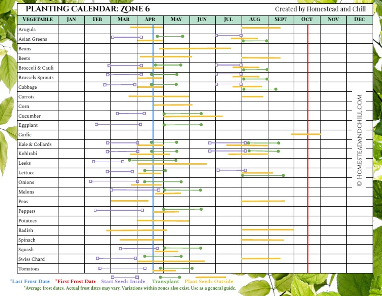 Zone 6 Planting Calendar Homestead and Chill | PDF