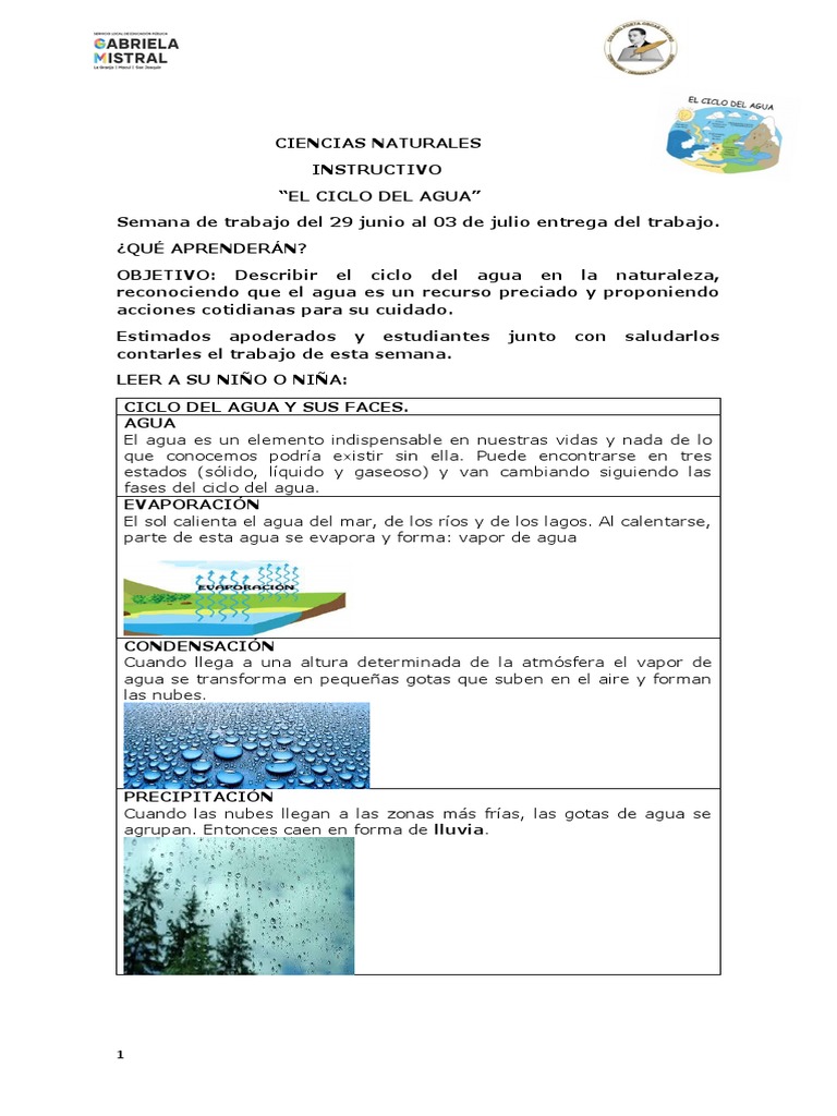 Instructivo Ciclo Del Agua Segundo Básico | PDF | El ciclo del agua | Nube