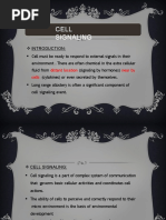 Focus - Daniel Goleman | PDF | Empathy | Attention