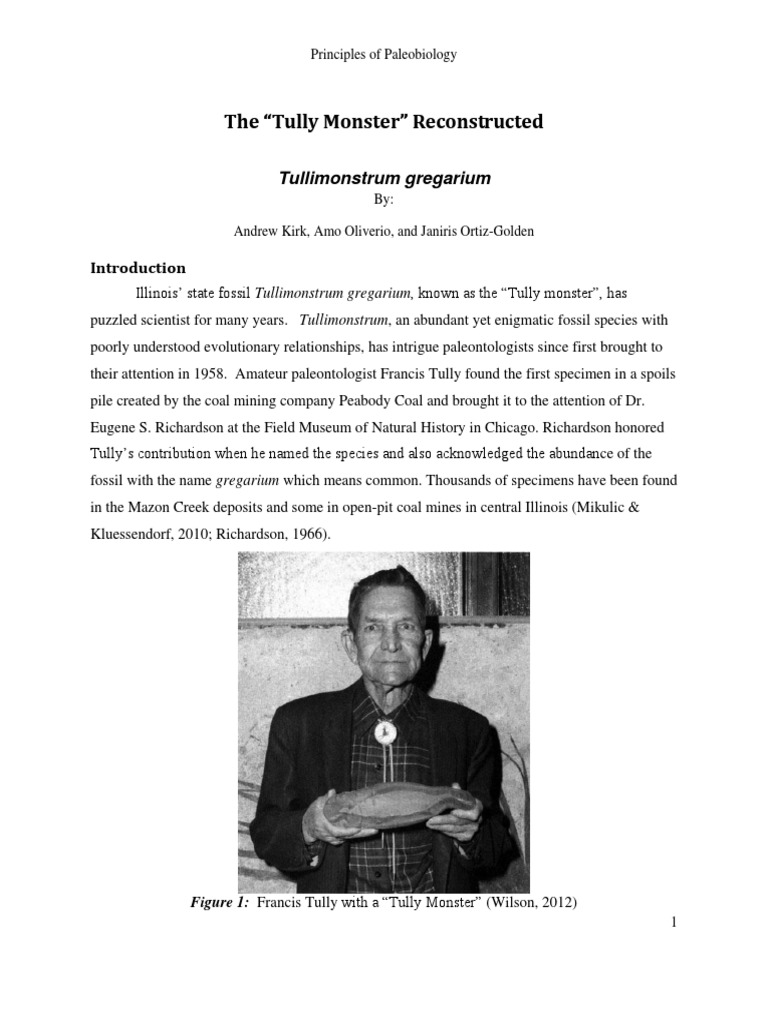 Reconstructing an Enigma: New Insights into the Evolutionary ...