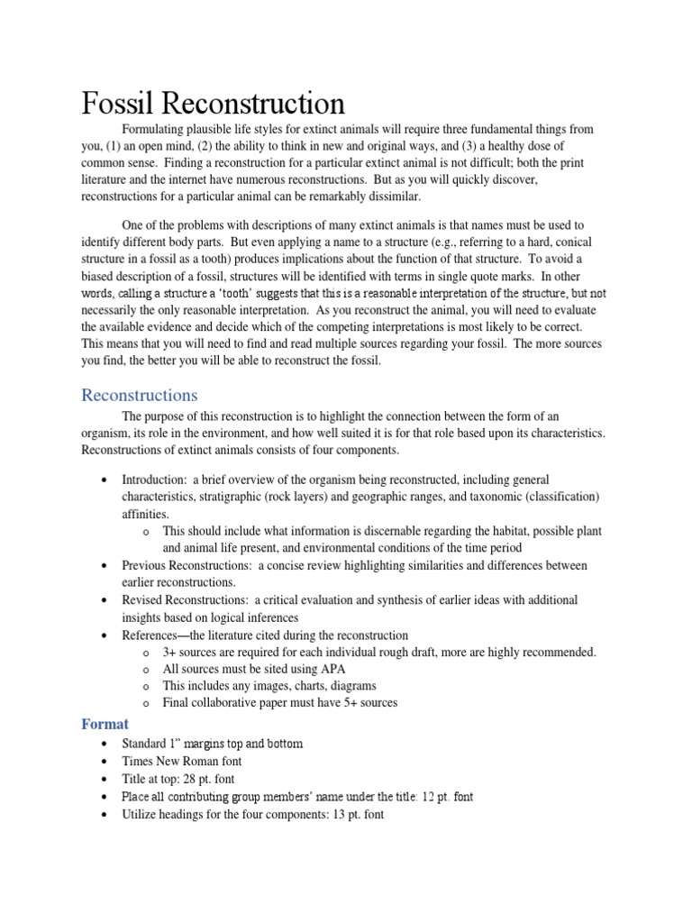 Fossil Reconstruction Activity | PDF | Fossil | Dinosaurs