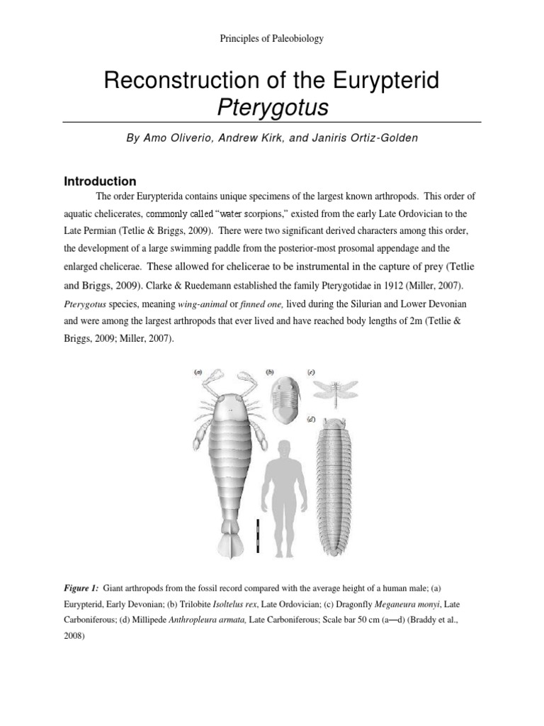 Eurypterid - Pterygotus Reconstruction | PDF | Predation | Science
