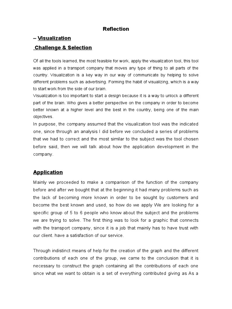 Visualization: Reflection | PDF | Business