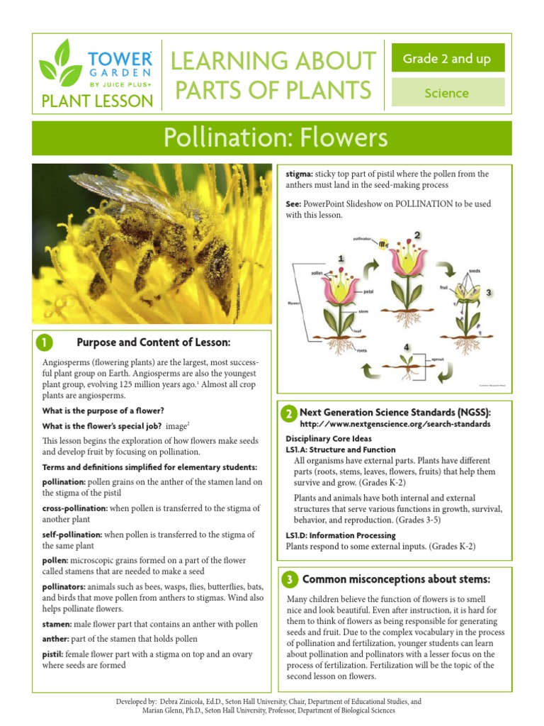 Grades 2 and Up Pollination | PDF | Flowers | Pollination