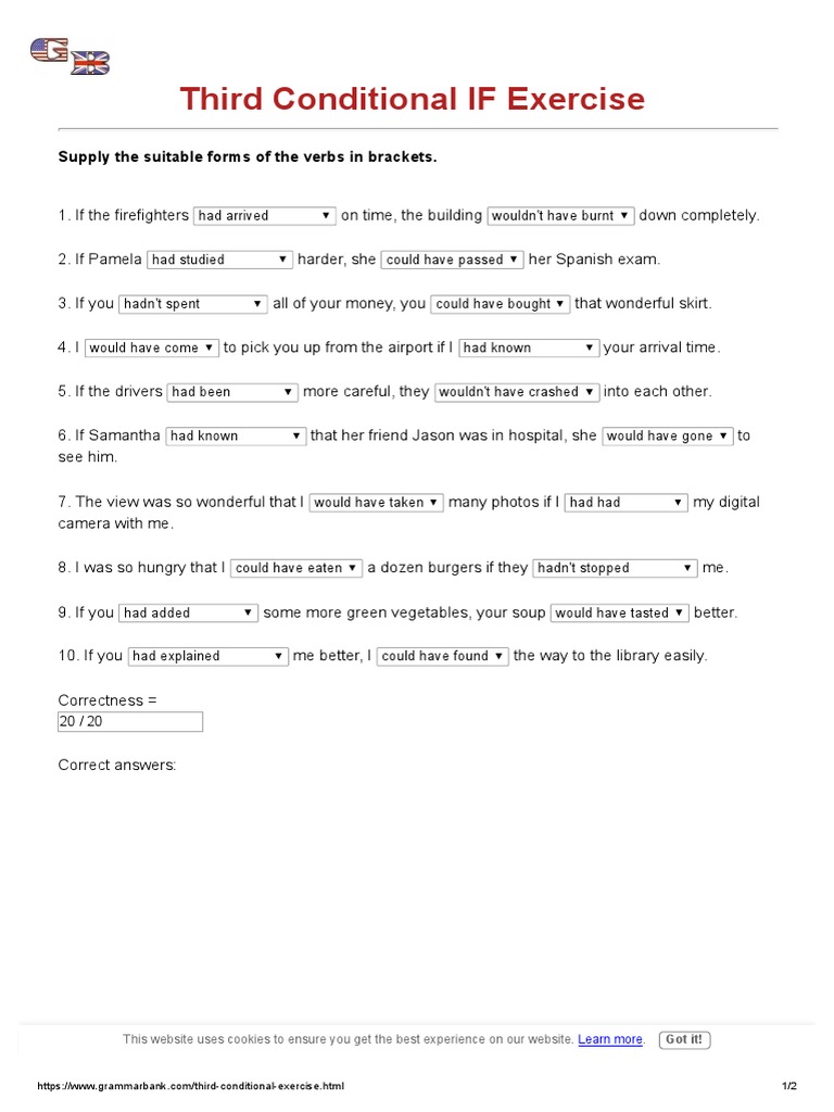 Third Conditional Exercises Online | PDF
