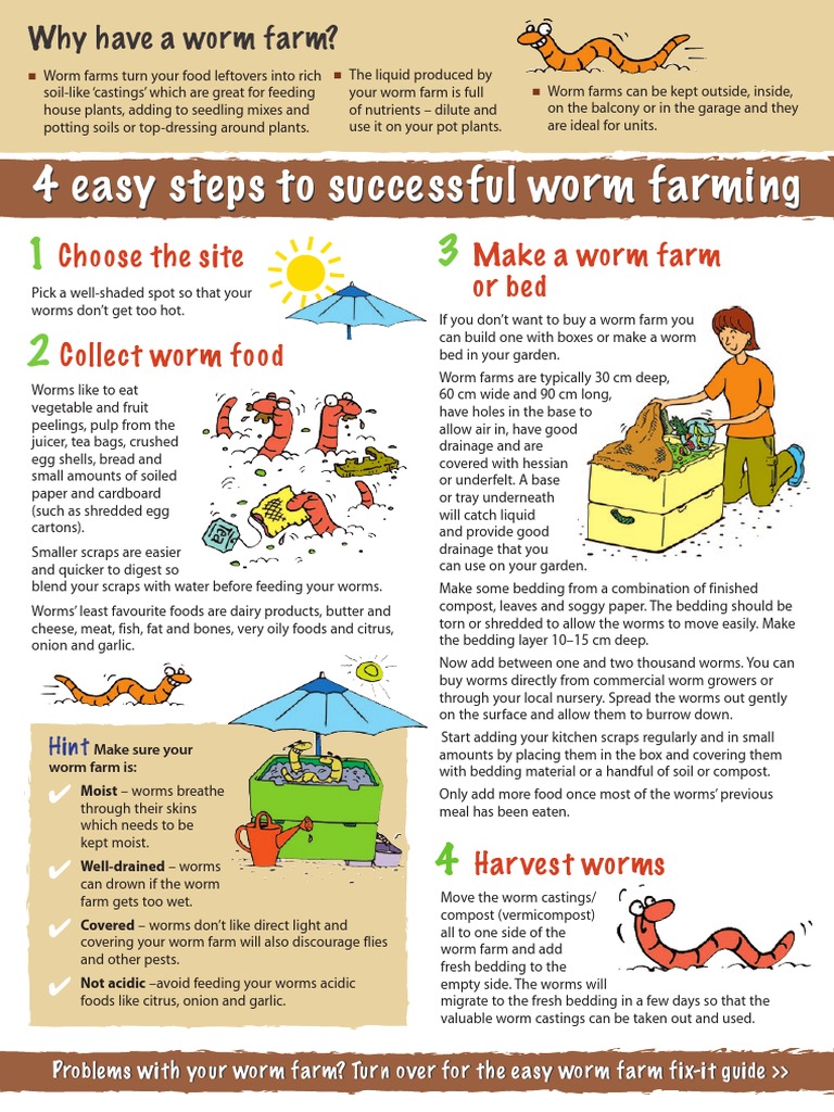 4 Easy Steps To Successful Worm Farming | PDF | Agriculture | Food And ...