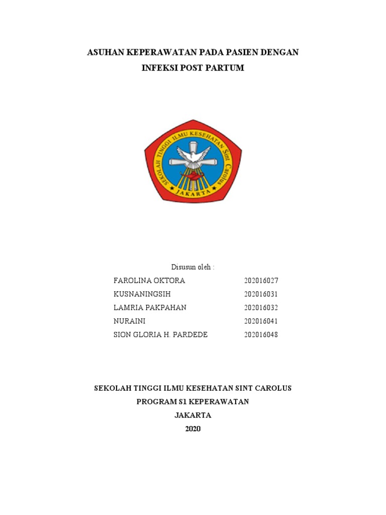 Askep Pasien Infeksi Post Partum | PDF