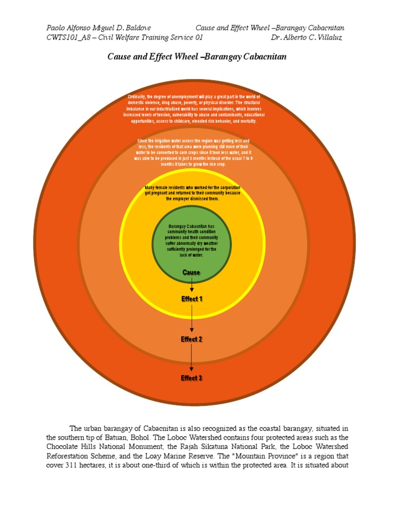 Cause and Effect Wheel - Barangay Cabacnitan | PDF | Community | Human ...