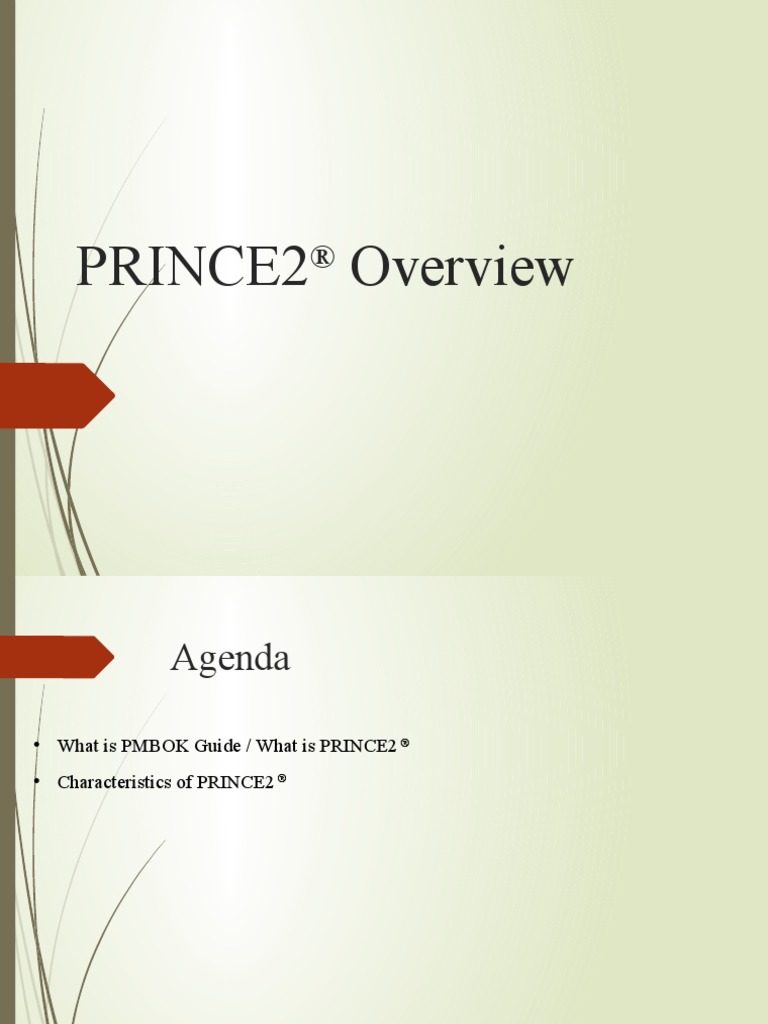 Prince 2 | PDF | Project Management | Risk