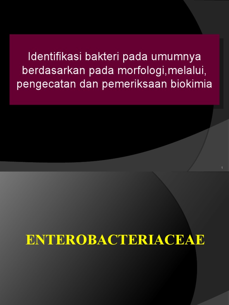 Uji Biokimia | PDF