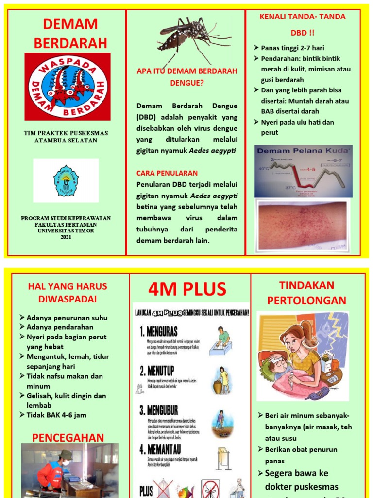 Leaflet DBD | PDF