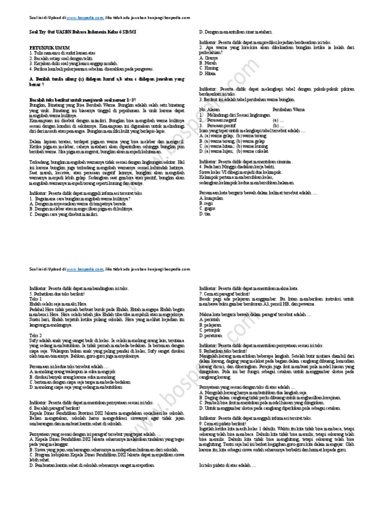 50+ Contoh Soal Try Out UASBN Bahasa Indonesia Kelas 6 SD MI Dan Kunci Jawabnya | PDF