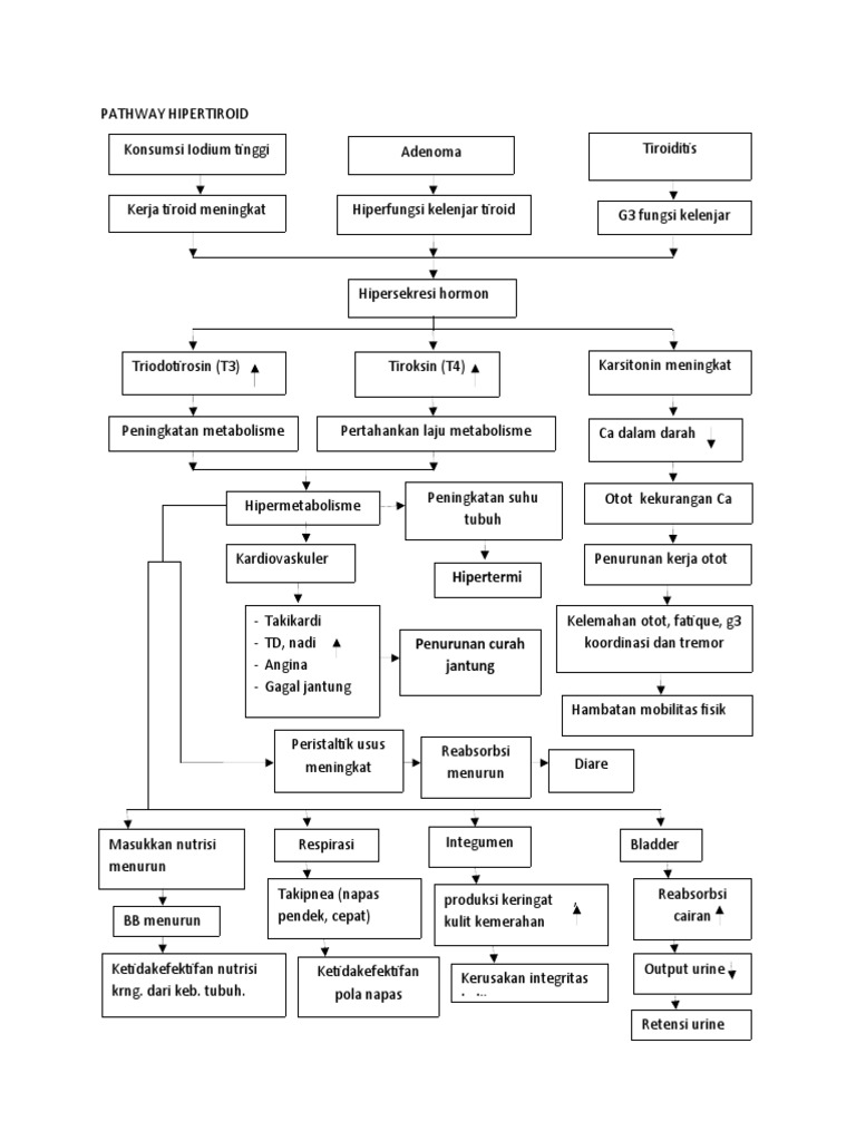 Pathway Patofisiologi Hipertiroid | PDF