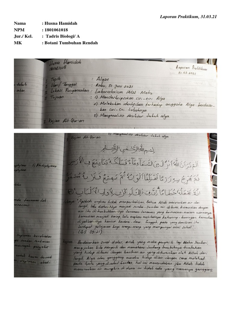 07 Laporan Praktikum - Algae (Spirogyra SP.) (Husna Hamidah 1801061018) | PDF | Sains & Matematika
