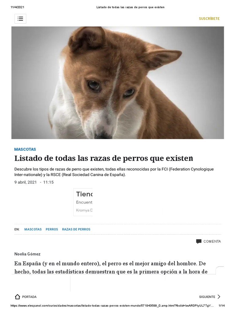 Listado de Todas Las Razas de Perros Que Existen | PDF | Razas de ...