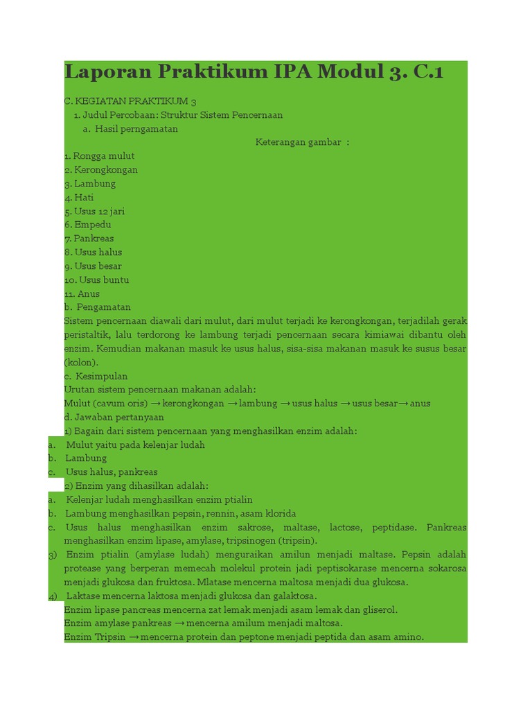 Laporan Praktikum IPA Modul 3 Pencernaan | PDF