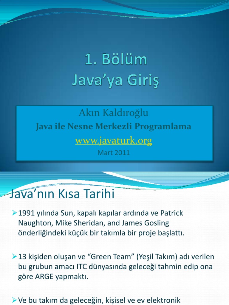 Bölüm Java'ya Giriş | PDF