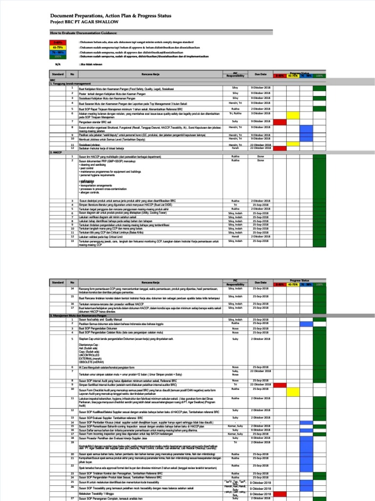 Document Preparations, Action Plan & Progress Status Document Preparations, Action Plan ...