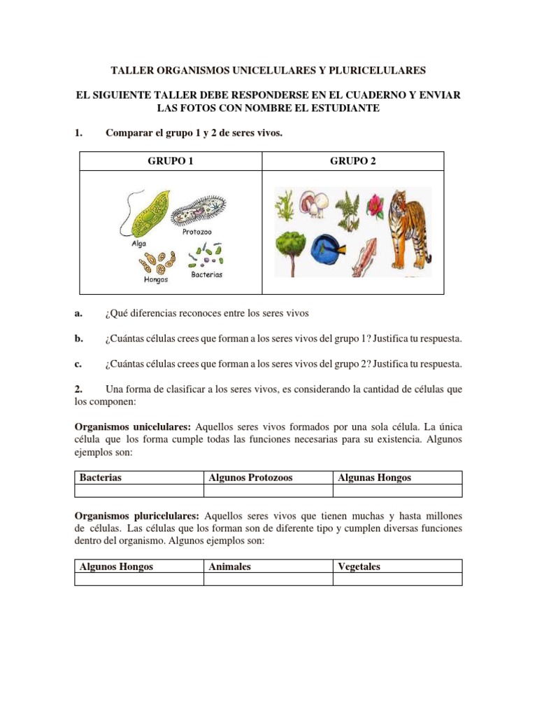 Taller Organismos Unicelulares y Pluricelulares | PDF
