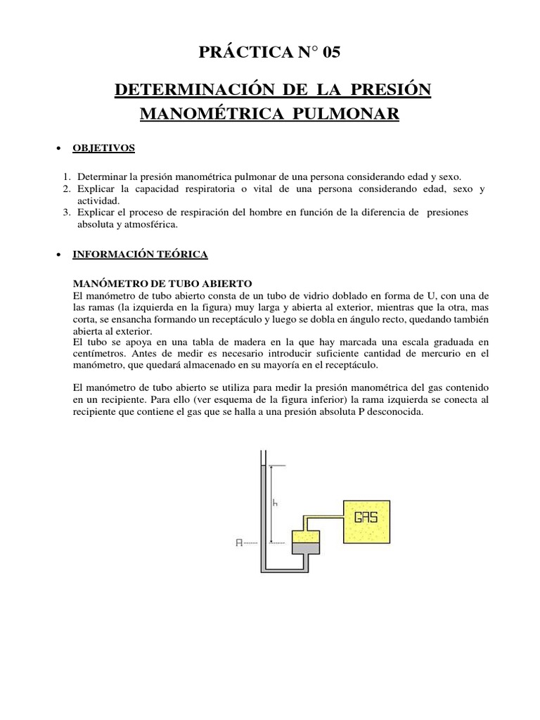 Presión Manométrica | PDF