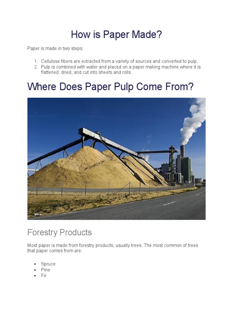 How Is Paper Made | Download Free PDF | Pulp (Paper) | Paper