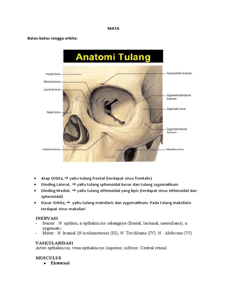 Rangkuman Mata Joss | PDF