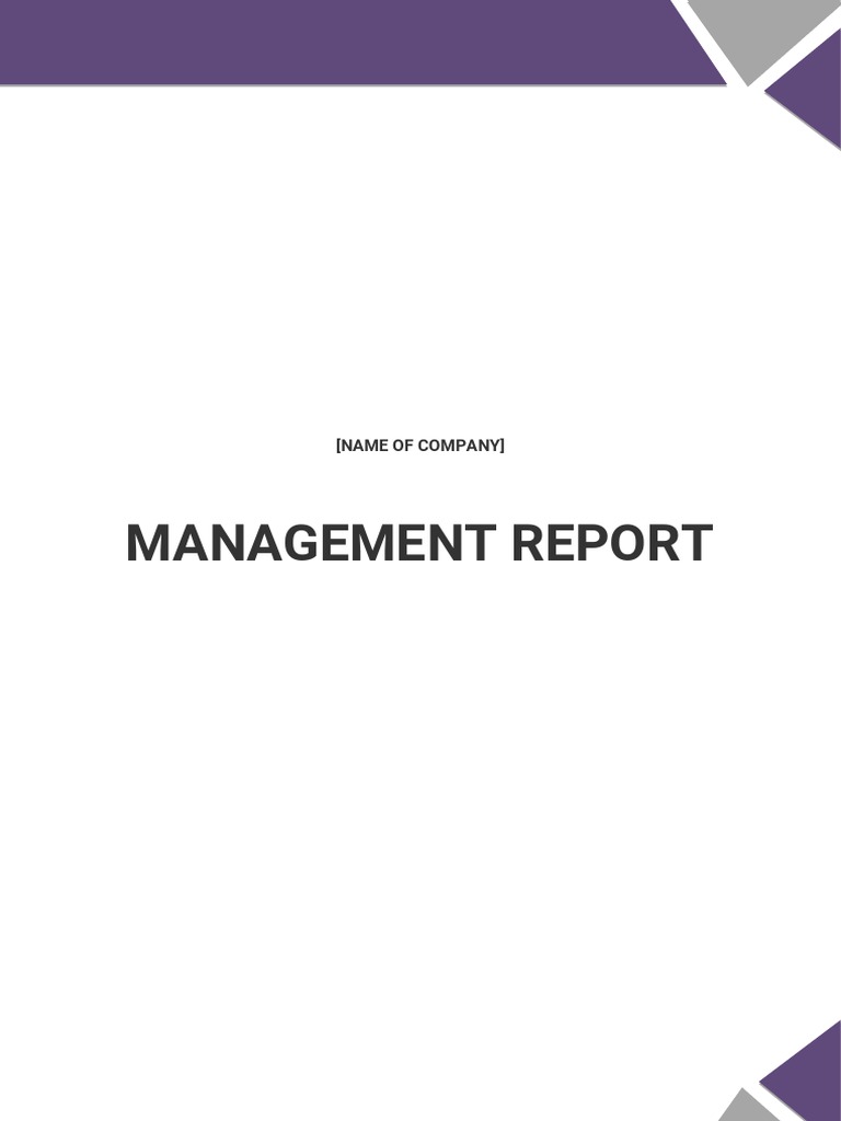 Management Report: (Name of Company) | PDF | Risk | Computing