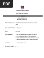 Core Logging Procedure | PDF | Clastic Rock | Sedimentary Rock
