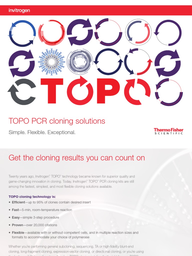 Topo PCR Cloning Brochure | PDF | Molecular Cloning | Nucleotides