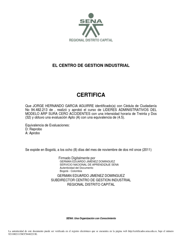 Modelo Cero Accidentes | PDF