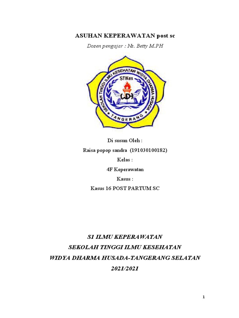 Asuhan Keperawatan Pada Pasien Post Partum SC Berdassarkan Sdki, Slki ...