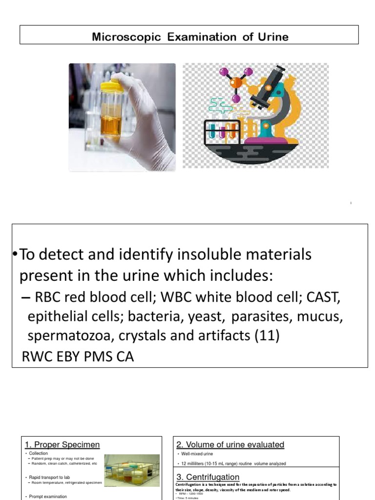 Microscopic-Exam TODO NA | PDF | White Blood Cell | Centrifugation