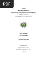 Contoh Layout Peta Isohyet | PDF