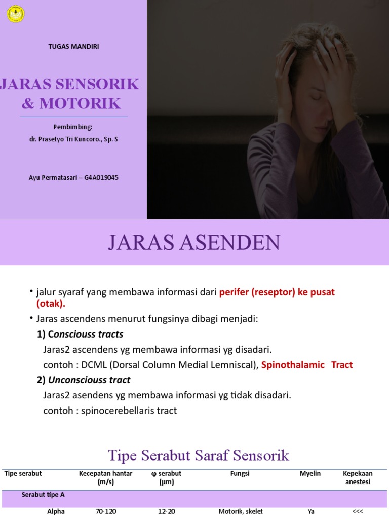 JARAS SENSORIK DAN MOTORIK - Ayu Permatasari - G4A019045 | PDF