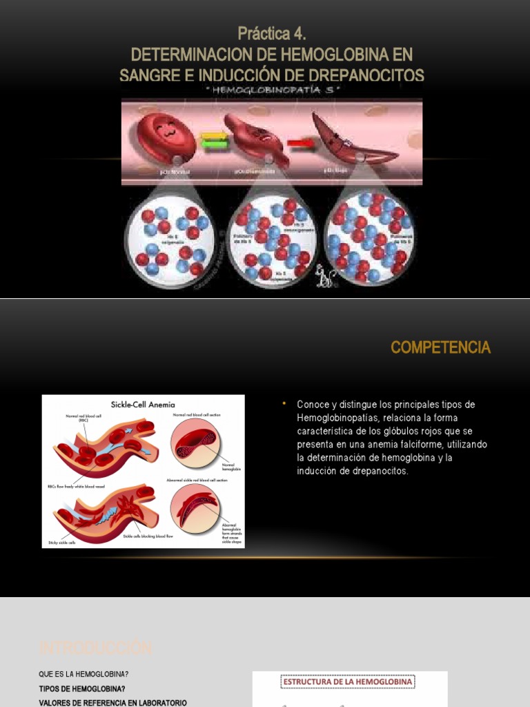 4 .-HB y Drepanocitosis Reporte | PDF | Hemoglobina | Sangre