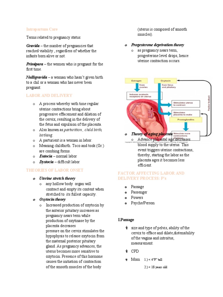 Intrapartum Care | PDF | Childbirth | Breastfeeding