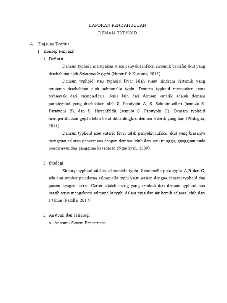 LP Demam Typhoid | PDF | Kesehatan Holistik