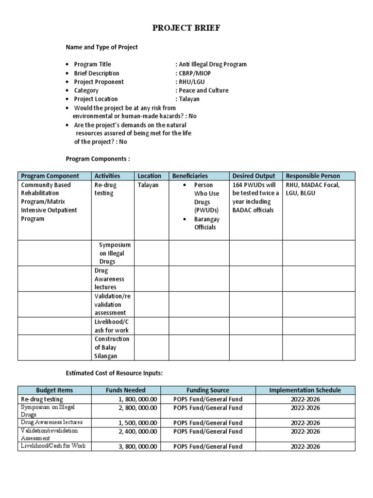 Project Brief-CBRP MIOP | PDF | Business | Economies