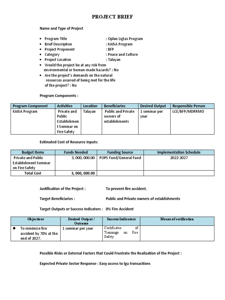 Project Brief: Objectives Desired Output / Outcome Success Indicators ...