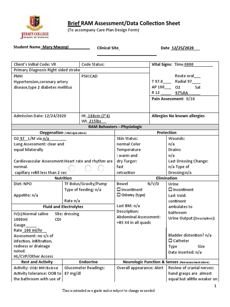 Brief RAM Assessment/Data Collection Sheet: Description | PDF | Nursing ...