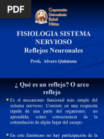 Reflejo consensual y su importancia clínica | PDF | Nervio | Ojo
